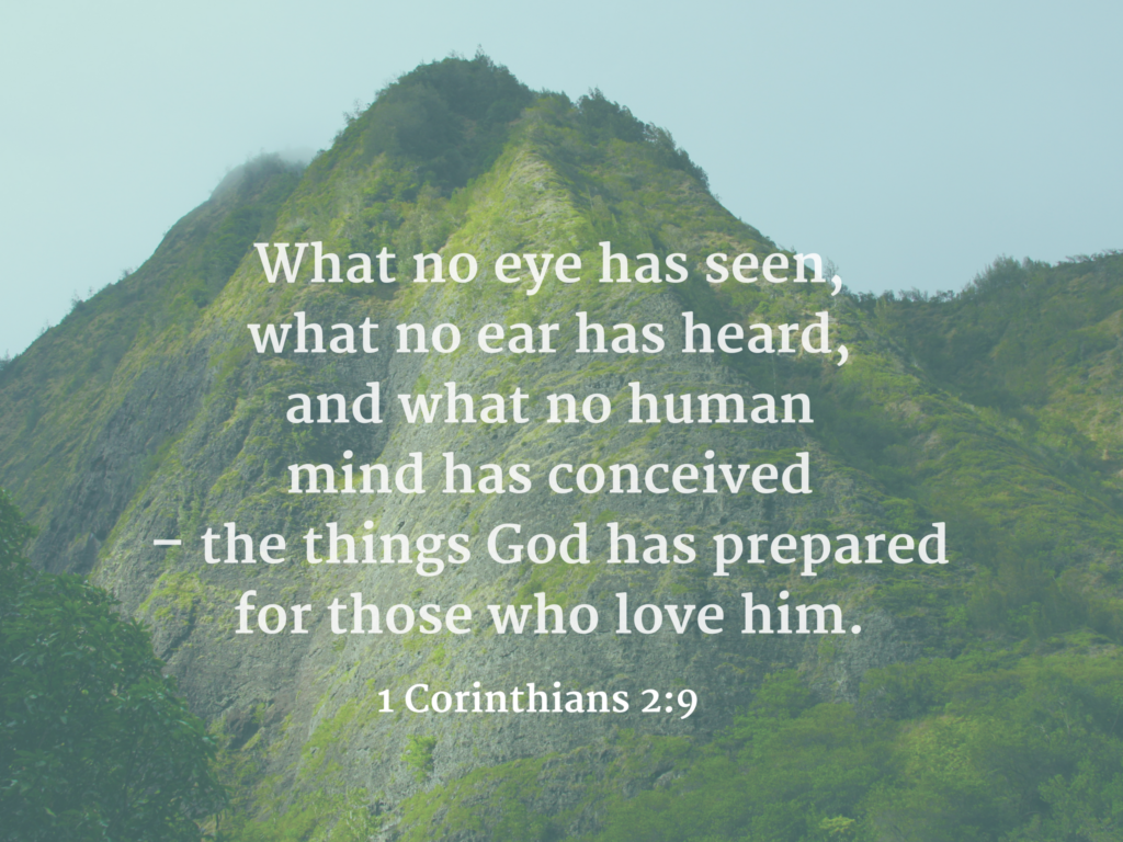 Scripture Slide - 1 Corinthians 2:9 | Vineyard Digital