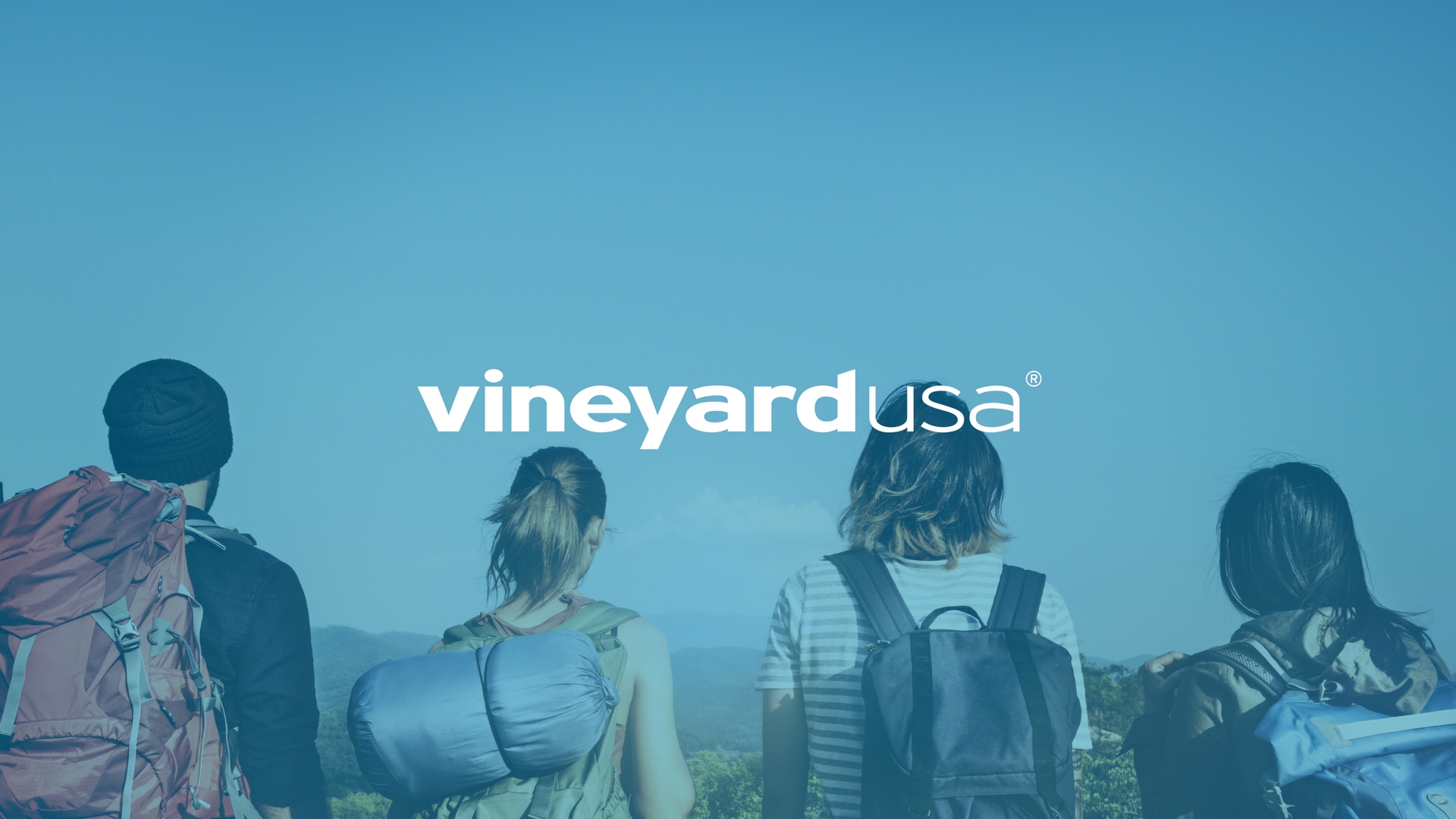 VUSA Logo Set | Vineyard Digital