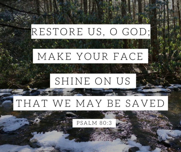 Psalm 80:3 | Social Media Graphics | Vineyard Digital