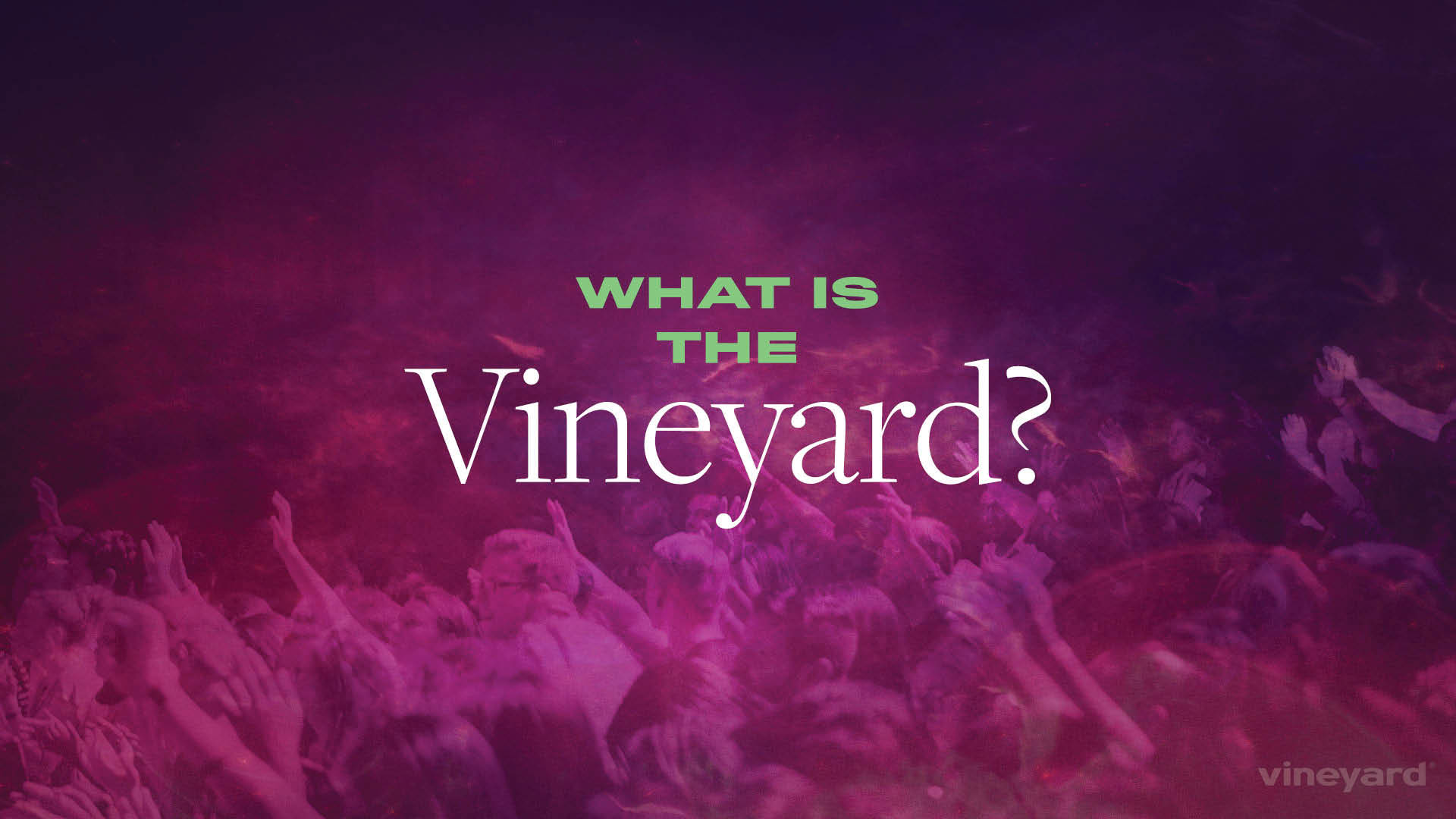 What Is The Vineyard? – Individual Study | Vineyard Digital