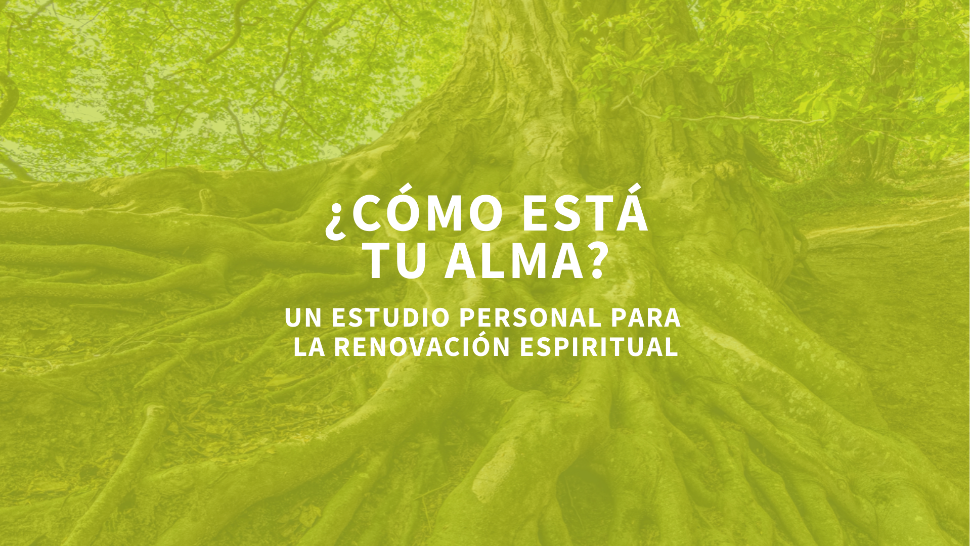 ¿Cómo Está Tu Alma? | Vineyard Digital