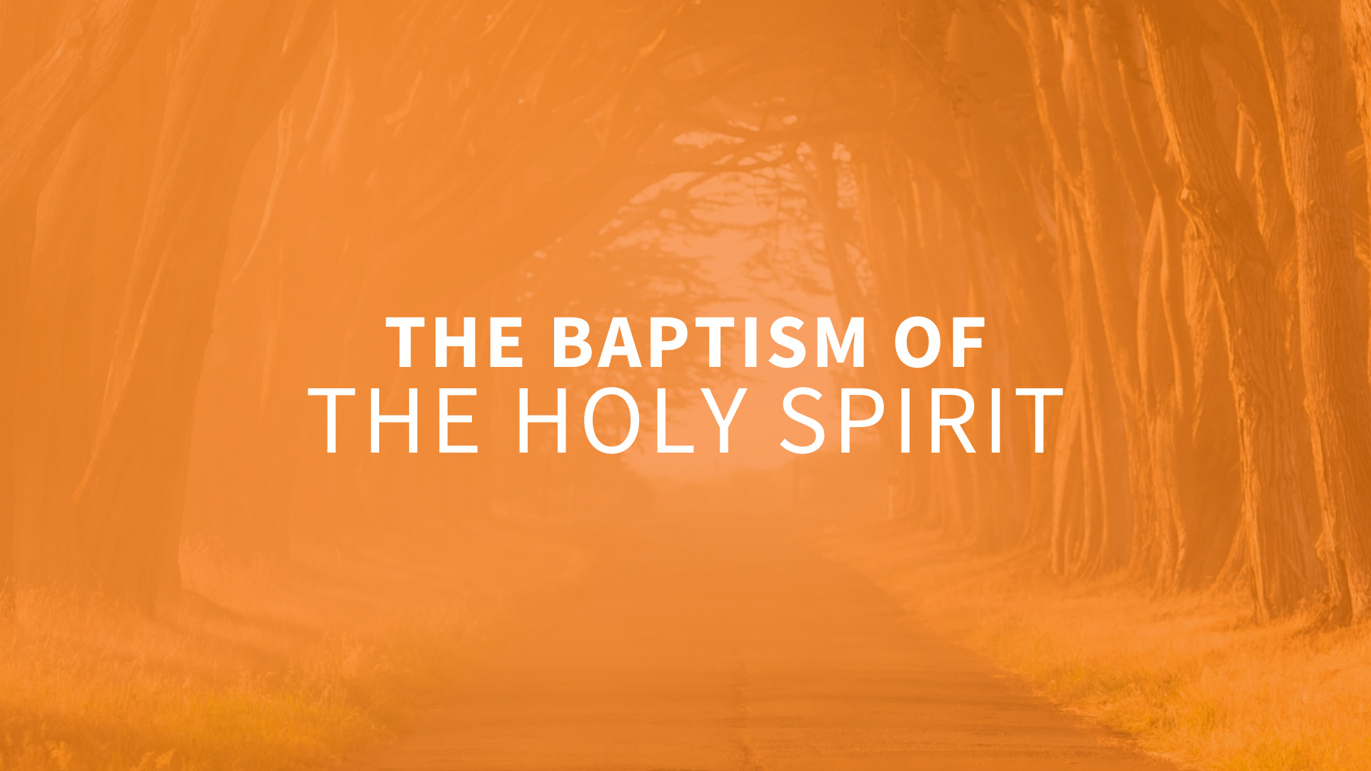 The Baptism Of The Holy Spirit – Small Group Study | Vineyard Digital
