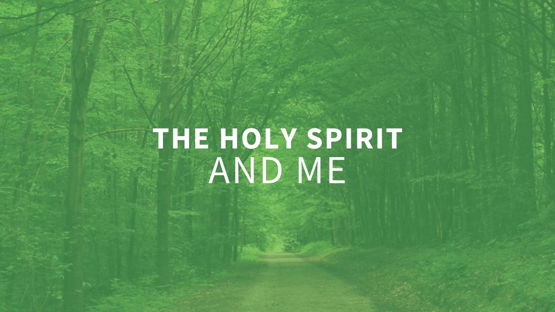 The Holy Spirit And Me – Small Group Study | Vineyard Digital