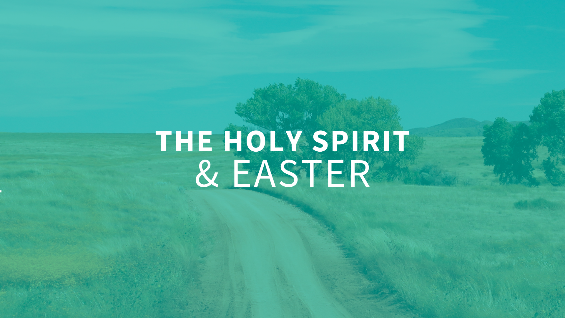 The Holy Spirit And Easter – Individual Study | Vineyard Digital