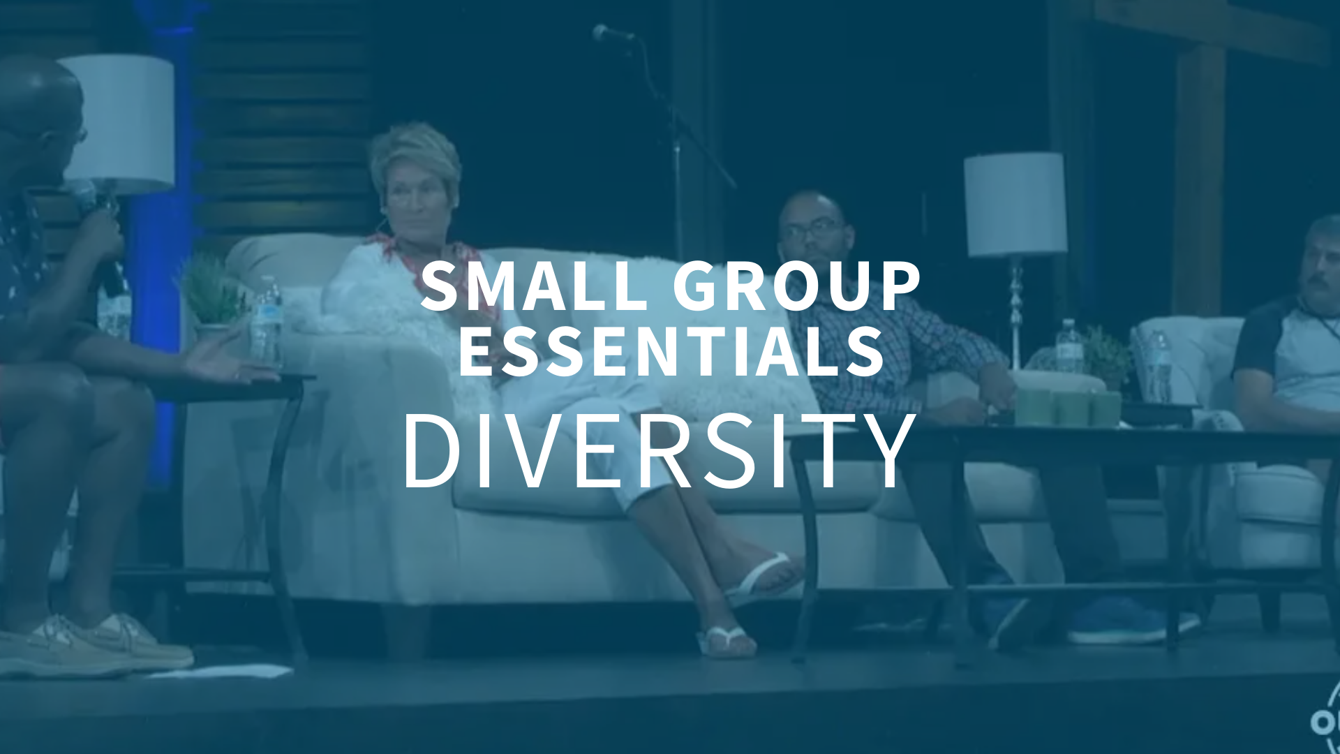 Small Group Study | Diversity | Vineyard Digital