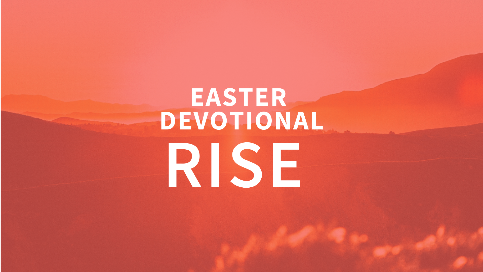 Rise – Easter & Holy Week Individual & Family Study | Vineyard Digital